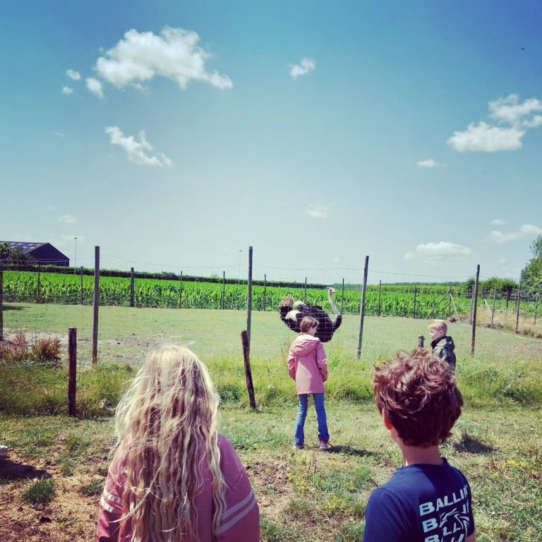 Kinderfeestje | Hof Keizersweel